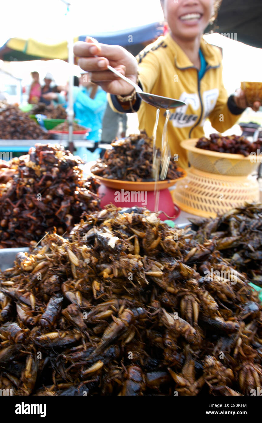 Insectes et insectes nourriture Banque de photographies et d’images à ...