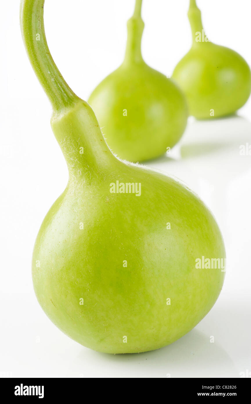 Calebasse Brut Banque d'image et photos - Alamy