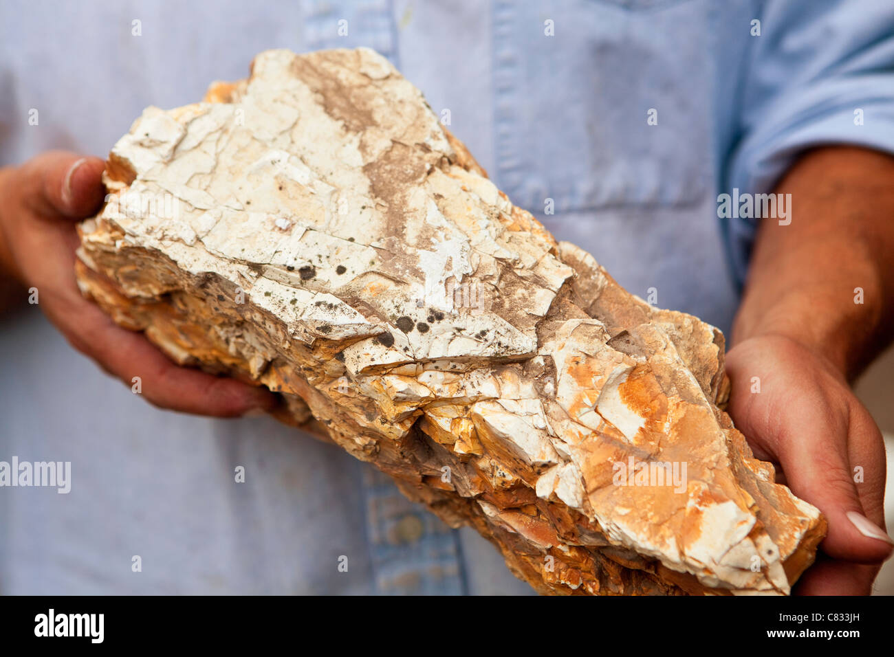 Carbonate calcuim Banque de photographies et d’images à haute ...