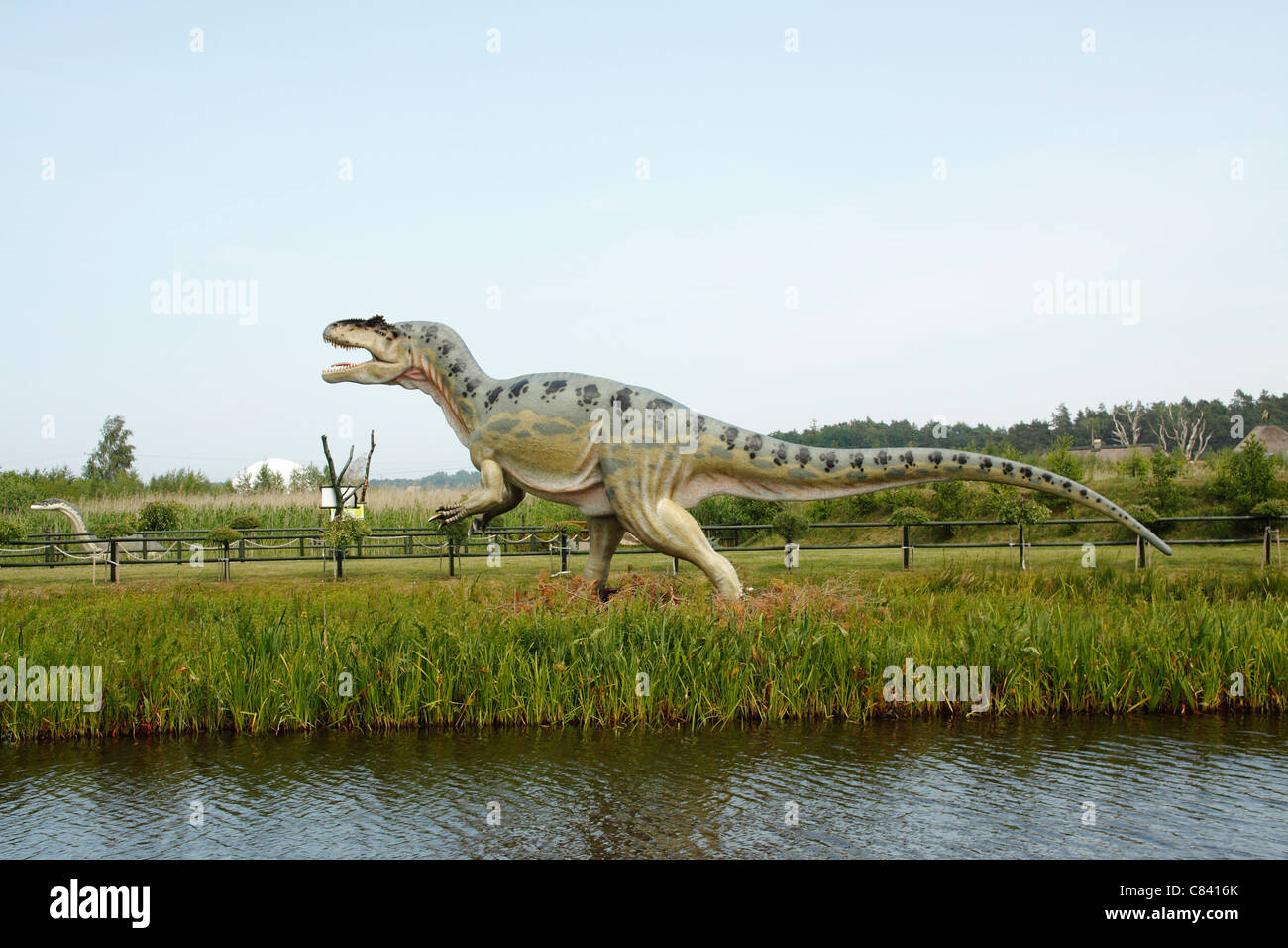 Dinosaur dinosaurs dino allosaurus Banque de photographies et d’images à haute résolution - Alamy