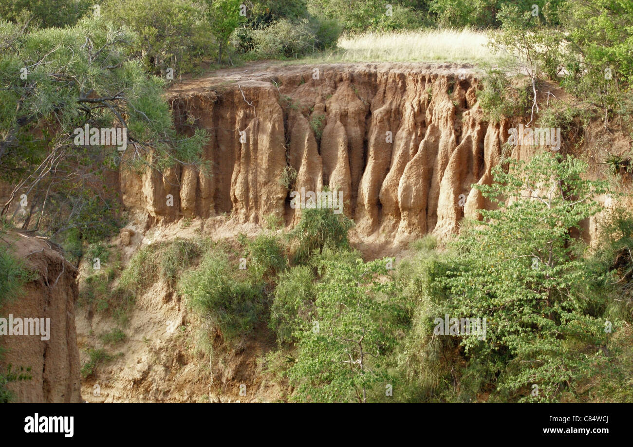 Lake albert uganda Banque de photographies et d’images à haute ...