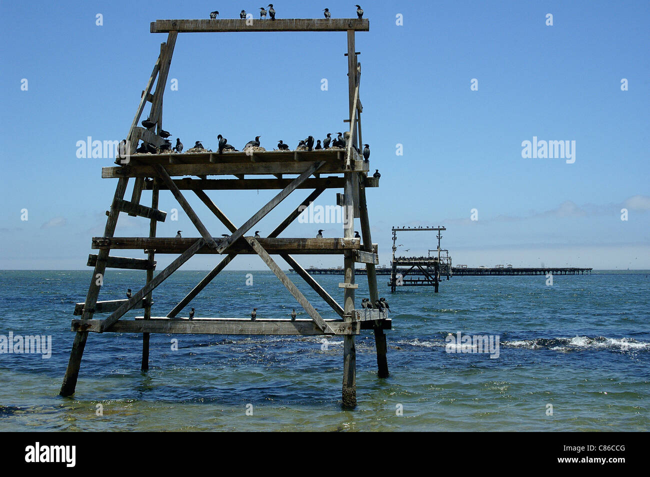 Le guano des plates-formes pour les oiseaux de mer, Walvis Bay, en ...