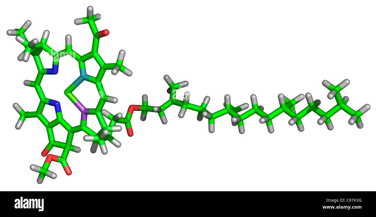 Chlorophyll molecule Banque de photographies et d’images à haute ...