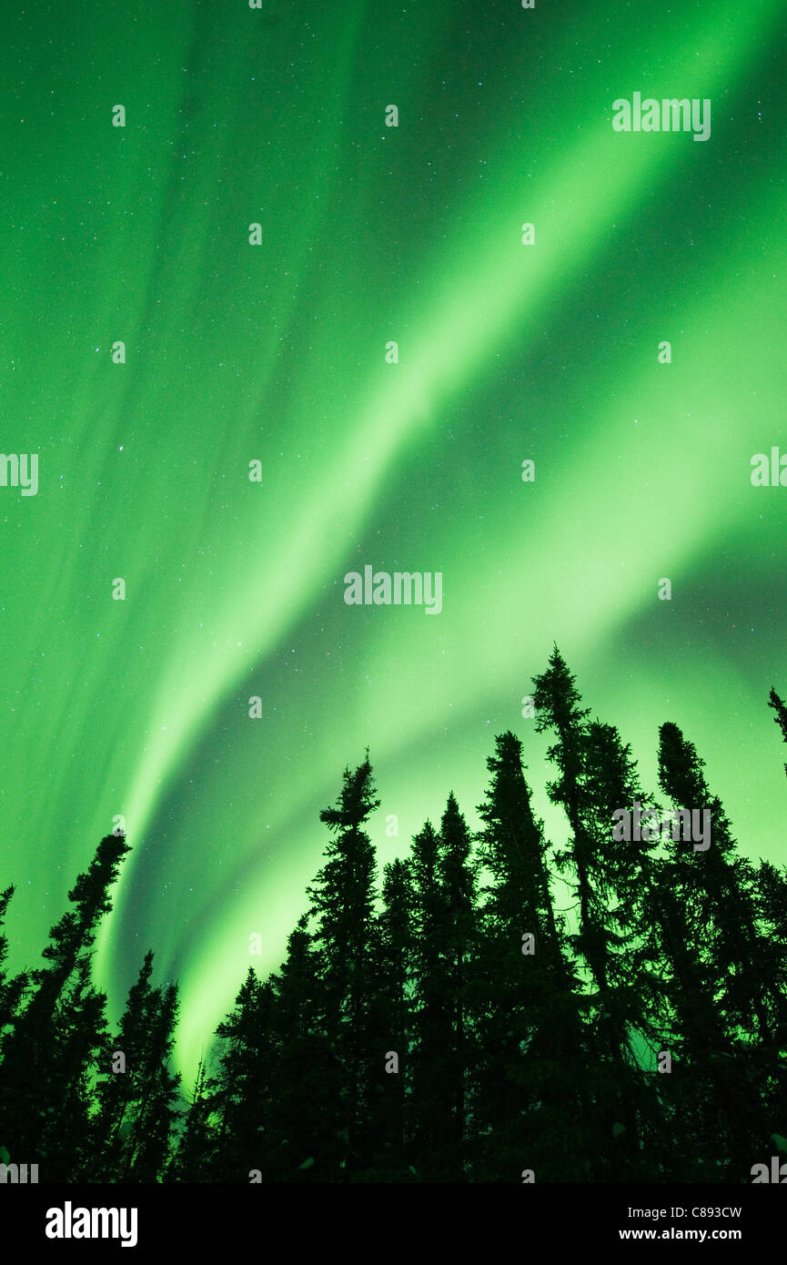 Borealis nord Banque de photographies et d’images à haute résolution ...