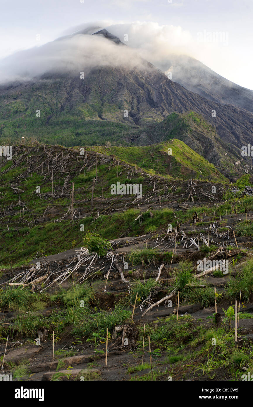 Volcan gunung merapi Banque de photographies et d’images à haute ...