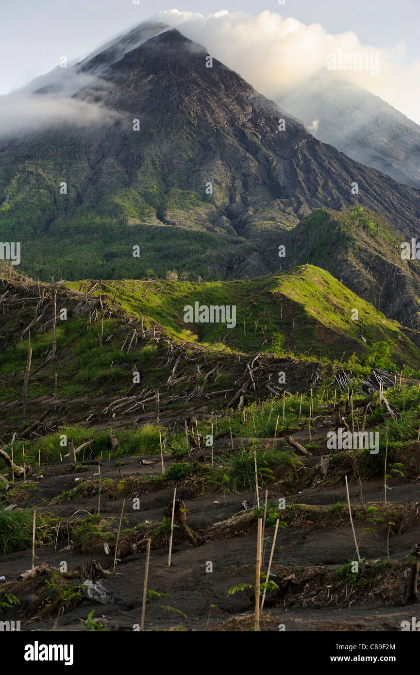 Volcan gunung merapi Banque de photographies et d’images à haute ...