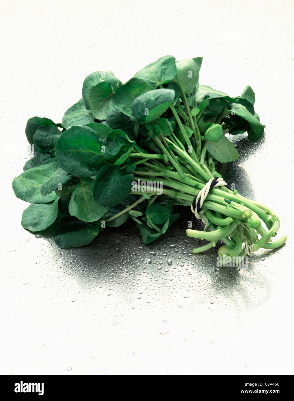 Raifort sauvage Banque de photographies et d’images à haute résolution ...