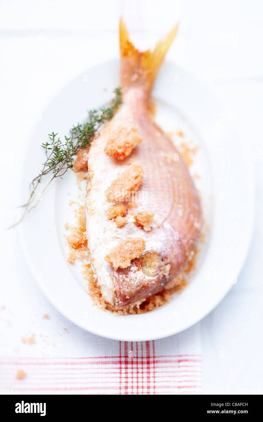 Poisson Daurade Banque d'image et photos - Alamy