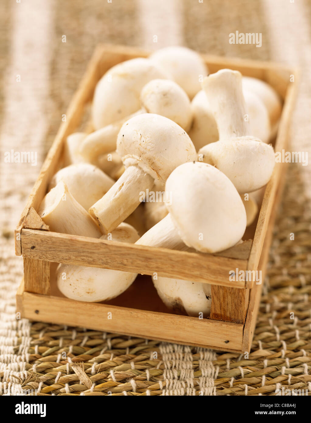 Caisse de champignons Banque de photographies et d’images à haute ...