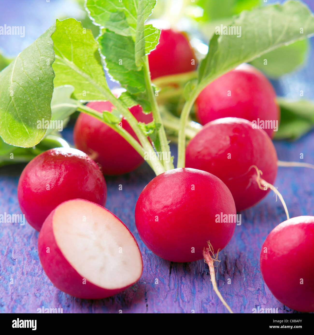 Radis ronds Banque de photographies et d’images à haute résolution - Alamy