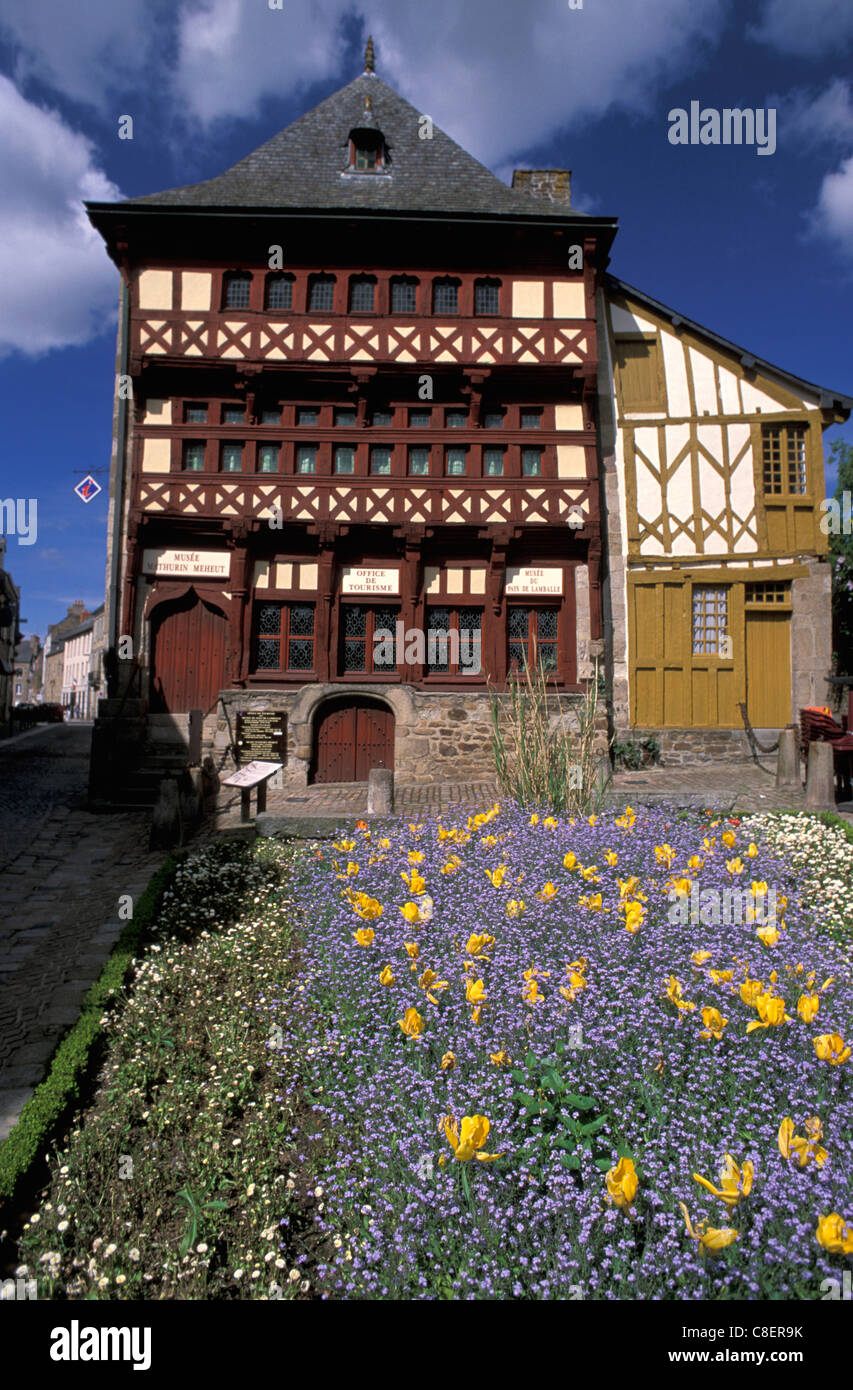 Fleurs de bretagne Banque de photographies et d’images à haute ...