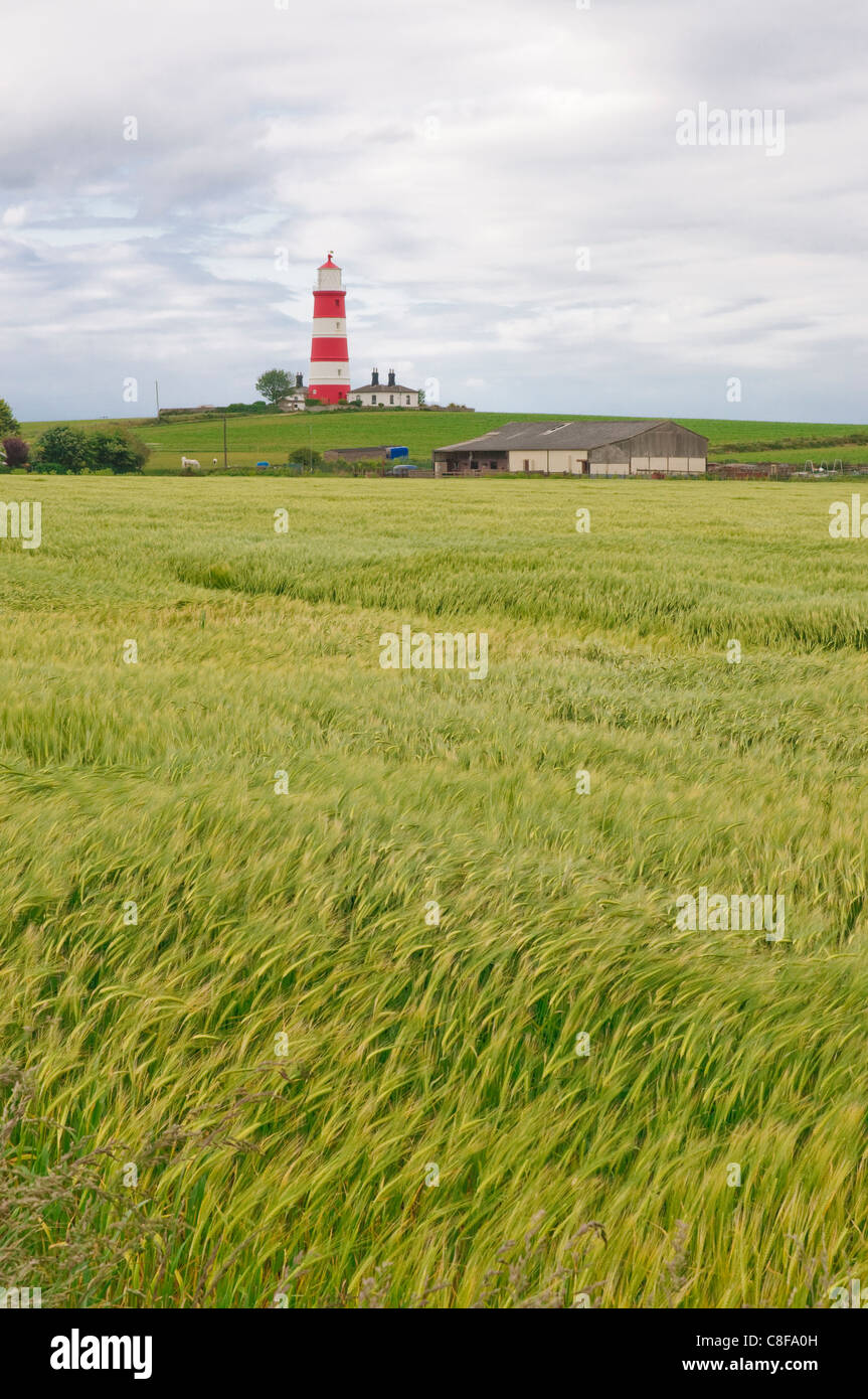 Le phare rouge et blanc, Happisburgh, Norfolk, UK Photo Stock - Alamy