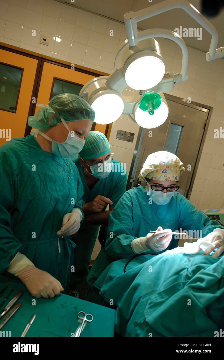 Chirurgie de l'oreille Banque de photographies et d’images à haute ...