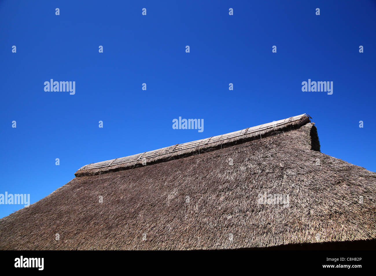 Toit de chaume japonais Banque de photographies et d’images à haute résolution - Alamy