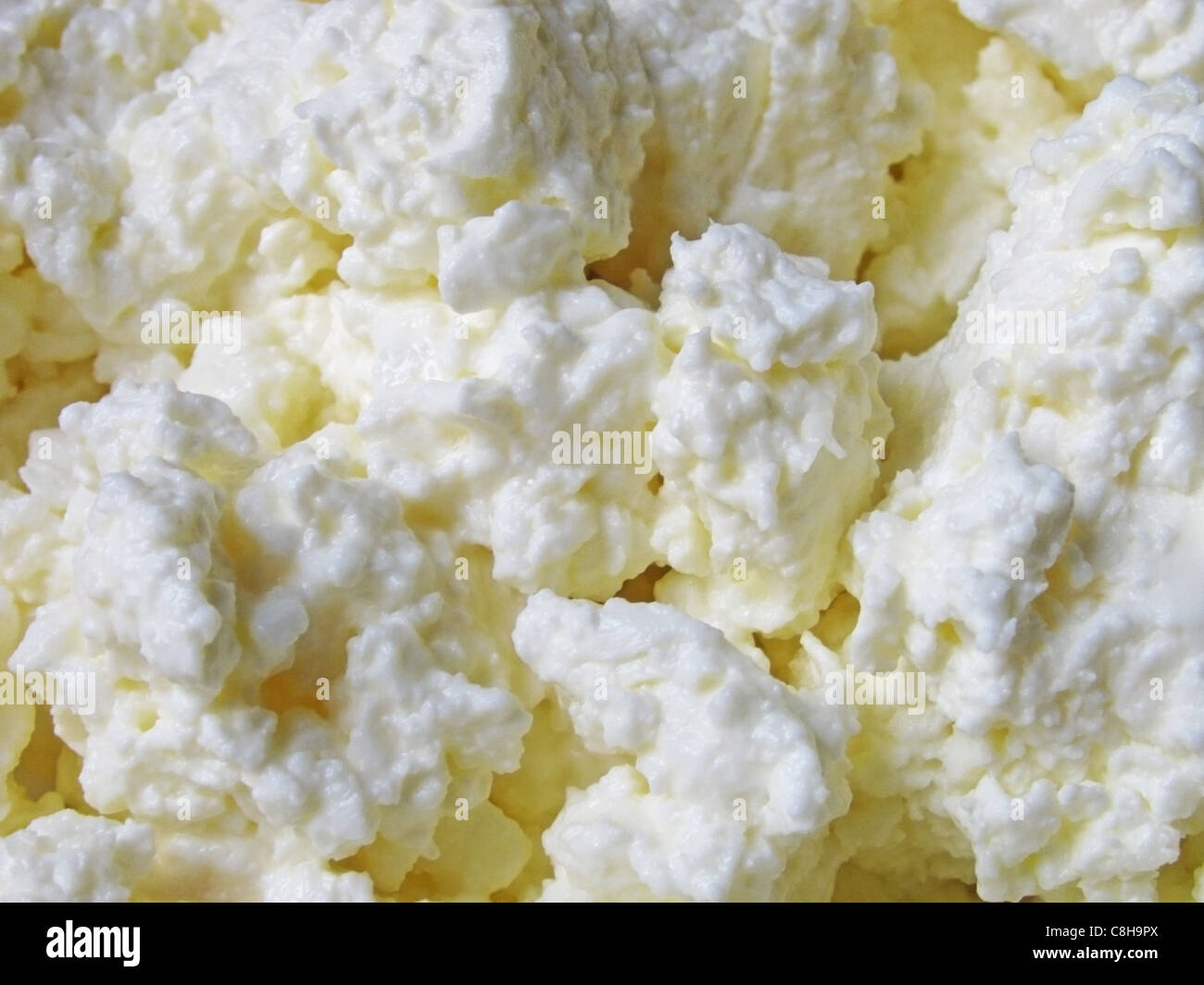 Cottage cheeses Banque de photographies et d’images à haute résolution ...