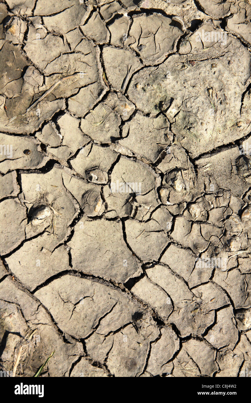 Terrain fissuré Banque de photographies et d’images à haute résolution ...
