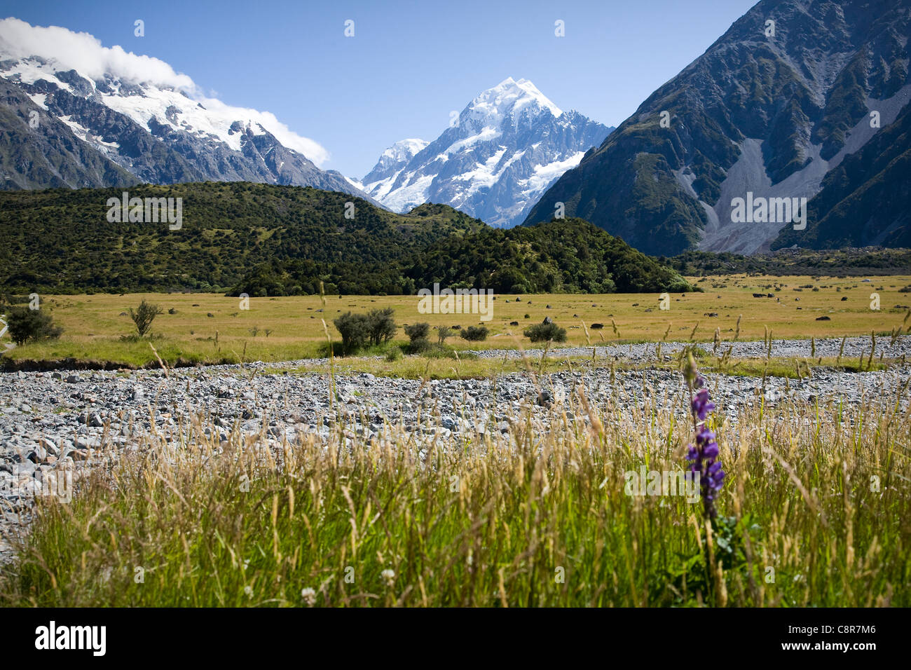 Mount cook new zealand Banque de photographies et d’images à haute ...