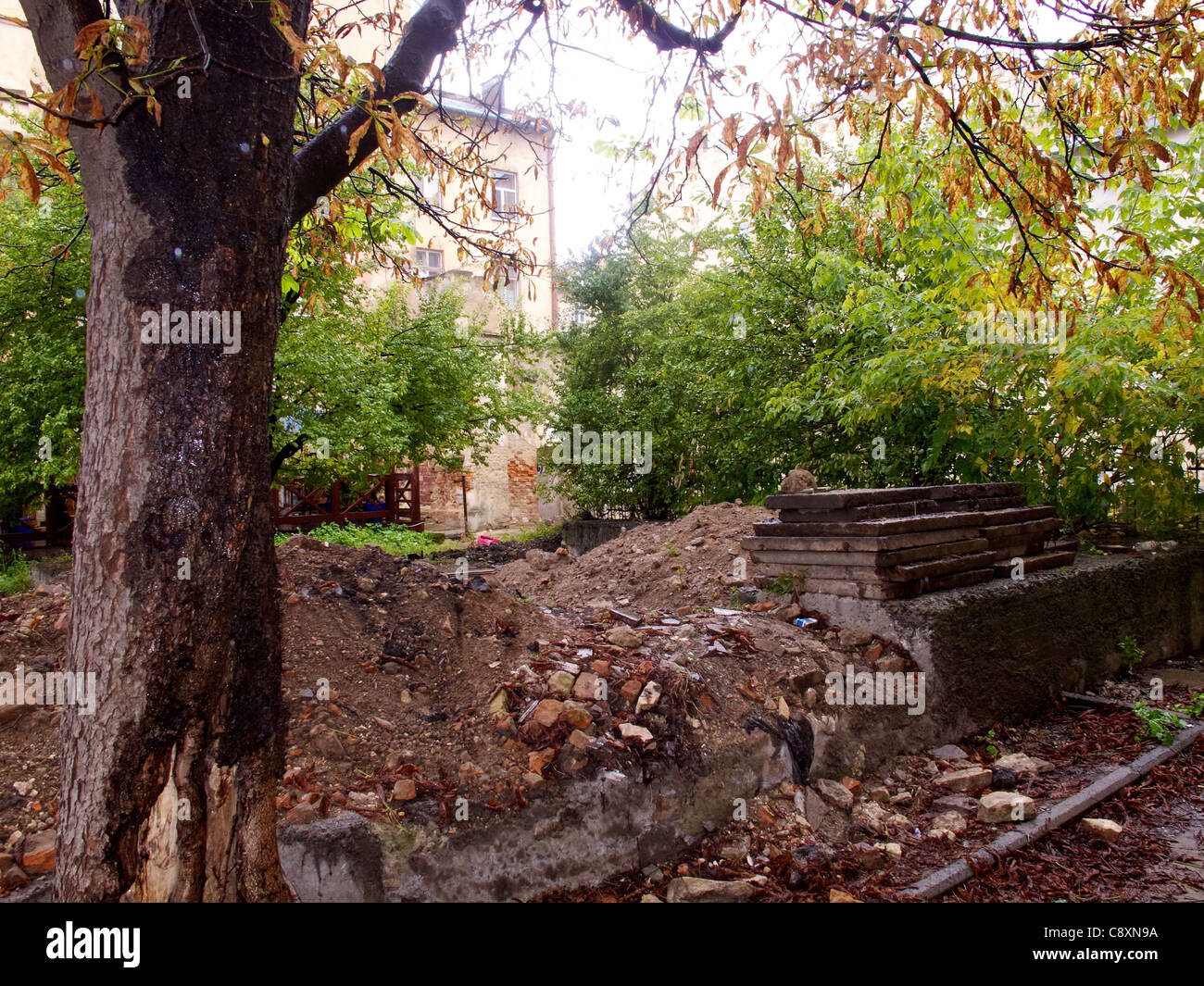 Golden rose synagogue Banque de photographies et d’images à haute ...