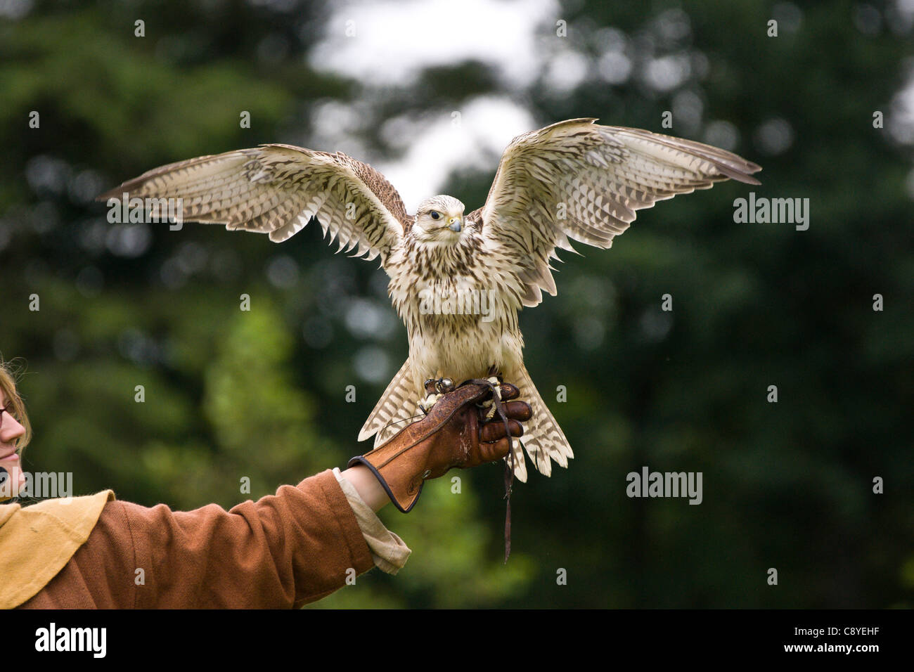 Ribe viking museum Banque de photographies et d’images à haute ...
