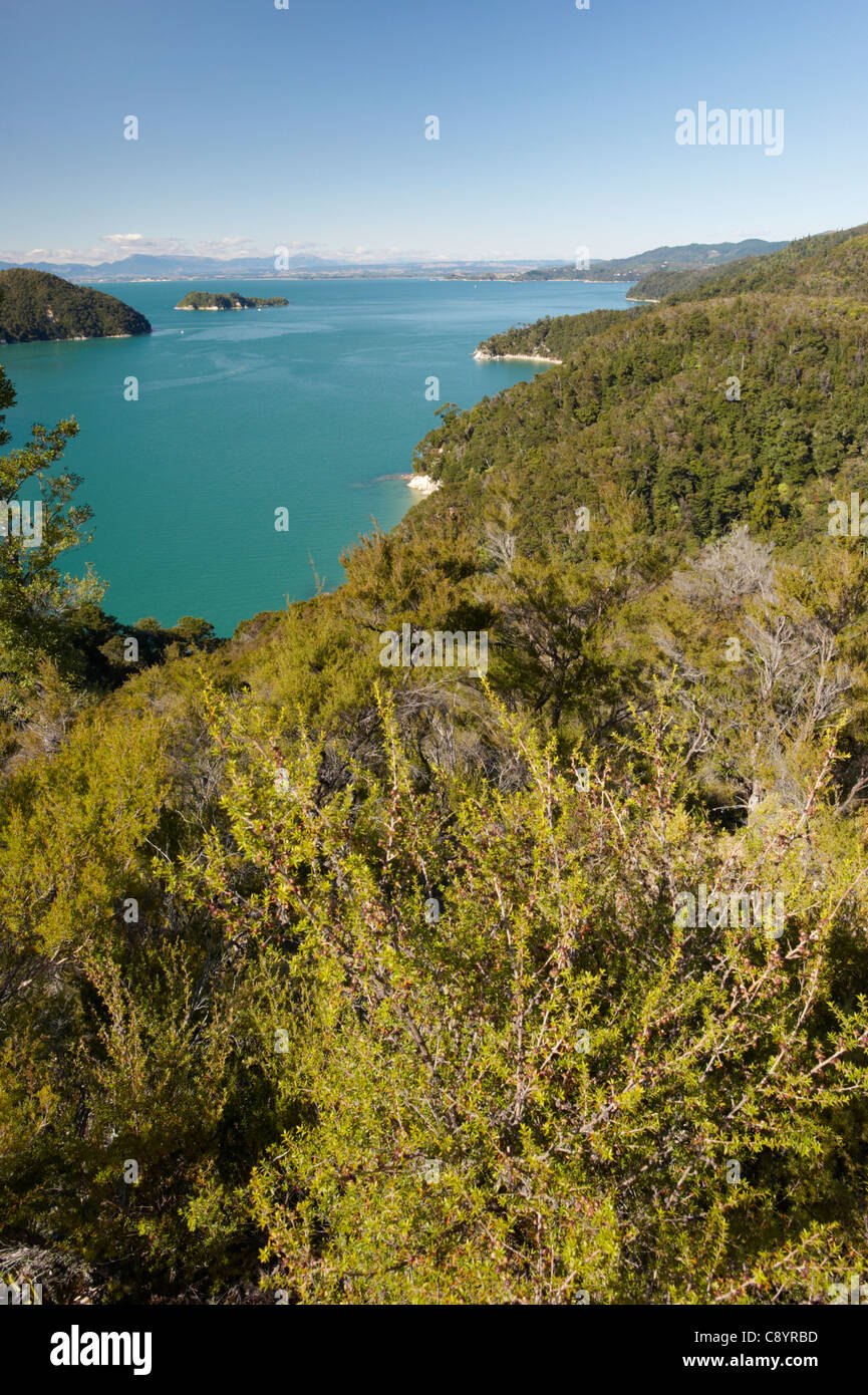 Adele island Banque de photographies et d’images à haute résolution - Alamy