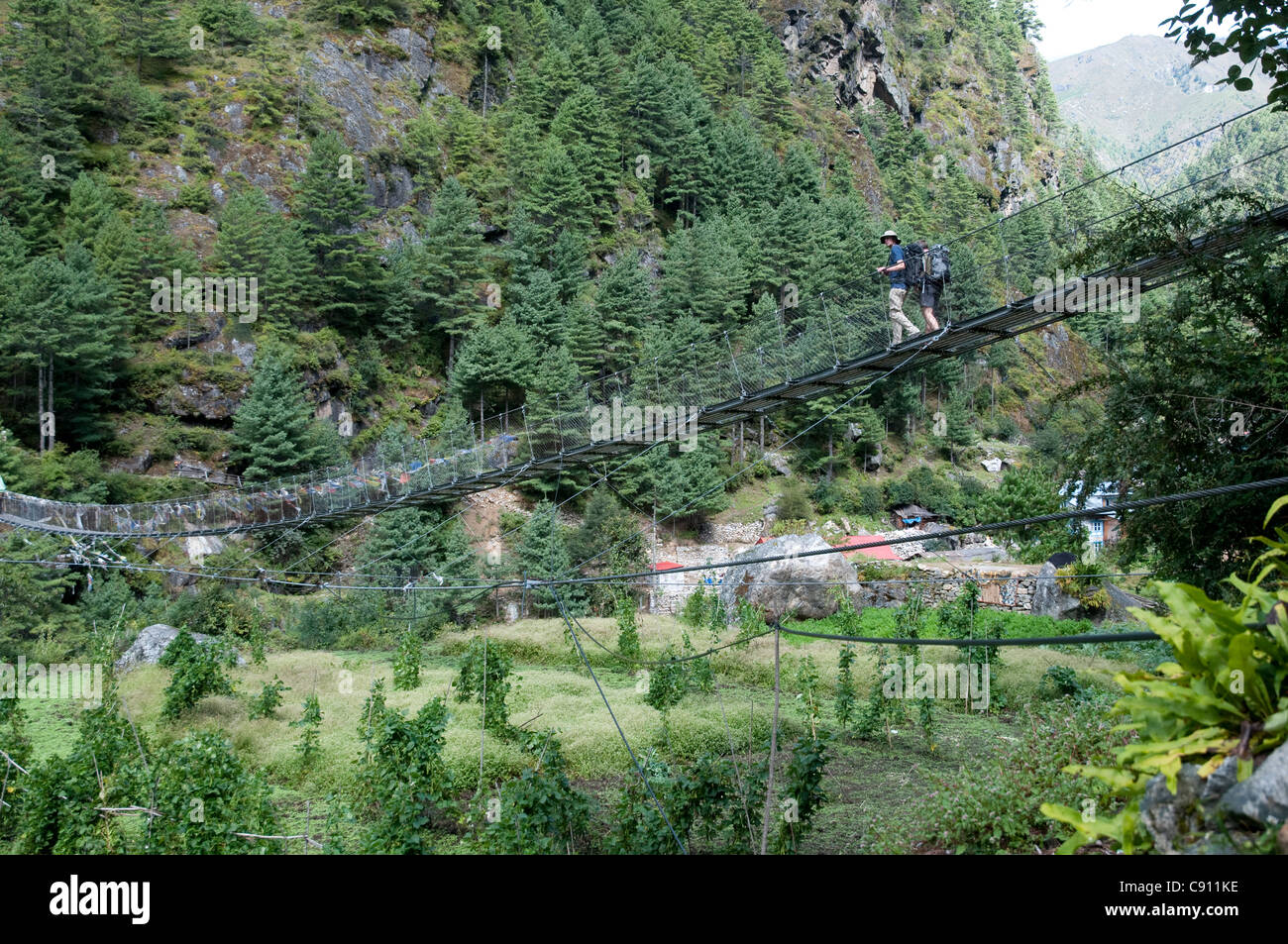 Il y a des ponts de corde rudimentaire long et étroit à travers les ...