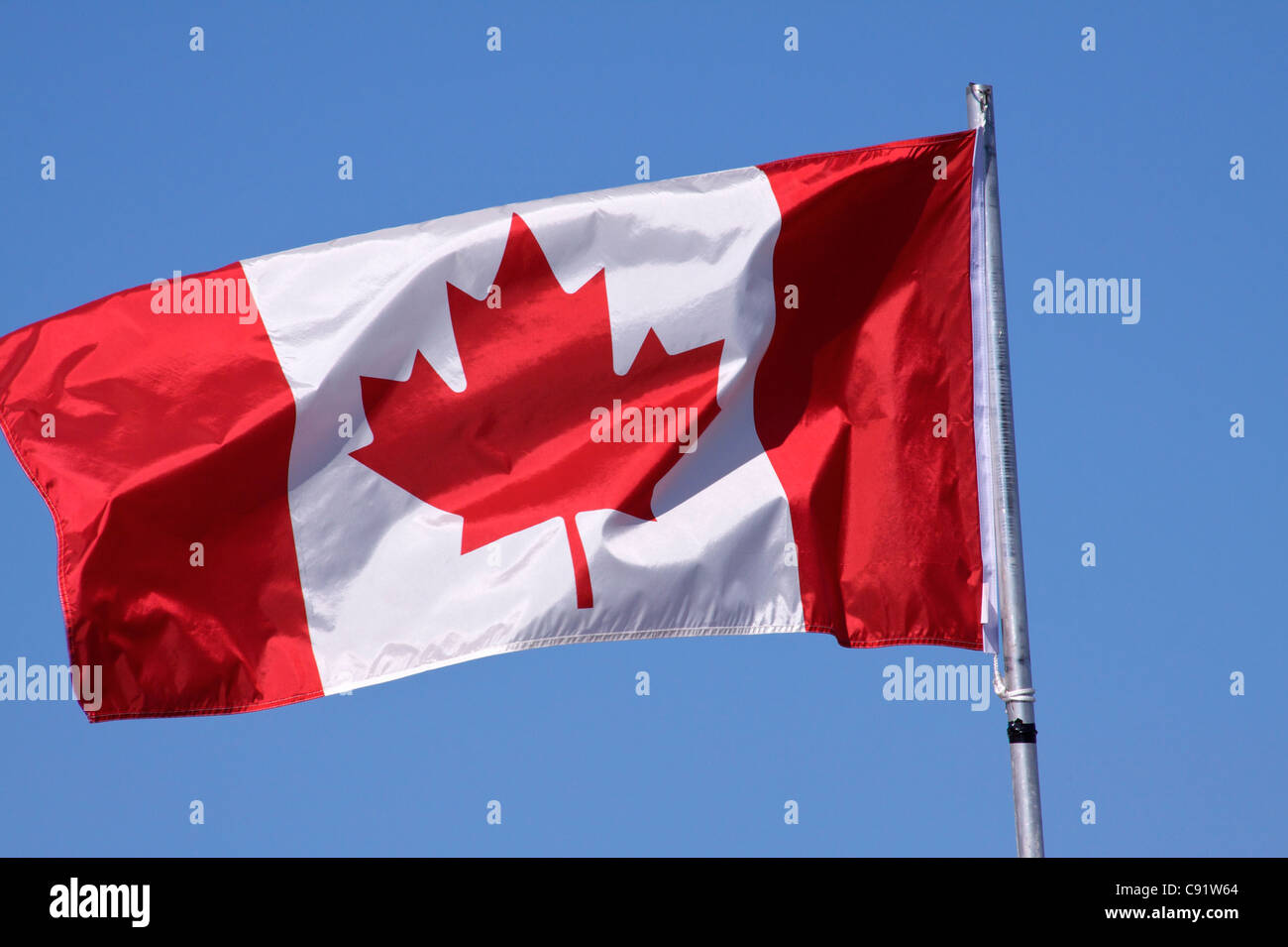 Le drapeau national du Canada a un symbole de la feuille d'érable en ...