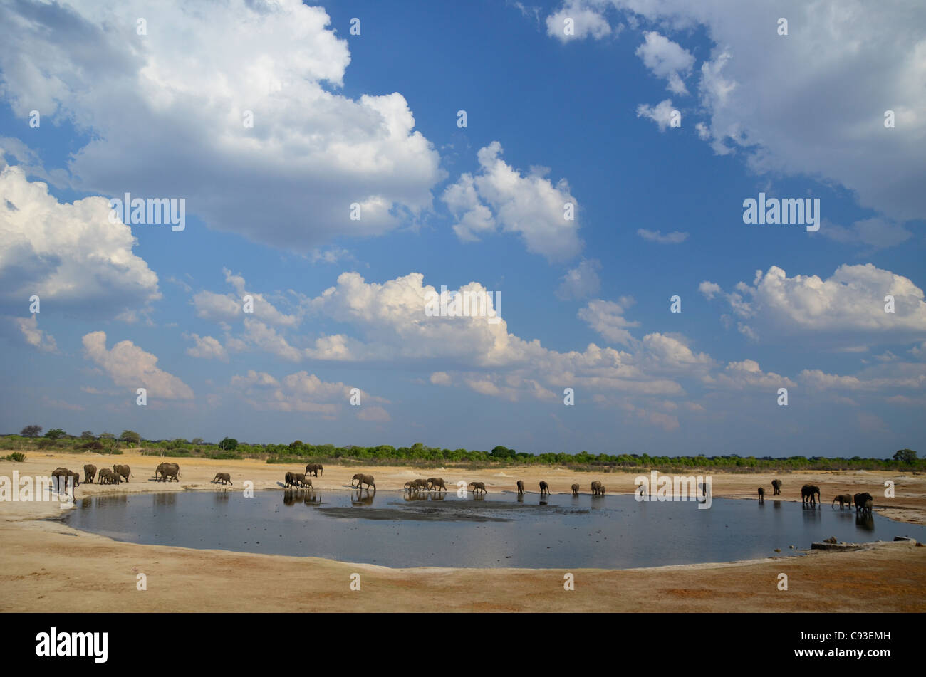 Paysages Africains Et Animaux Banque d'image et photos - Alamy
