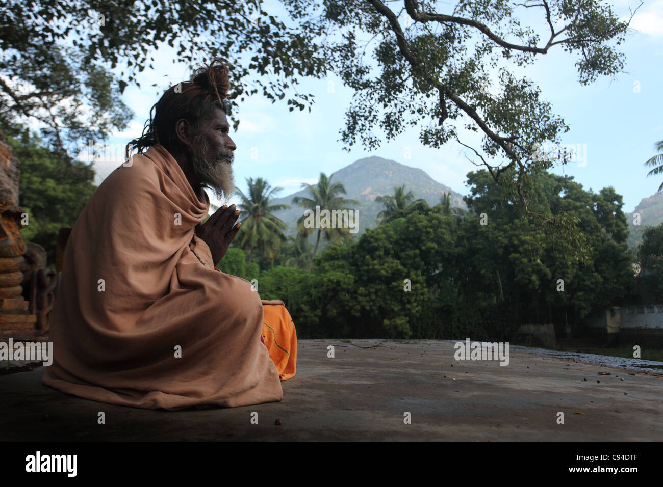 Statues de dieux hindous Banque de photographies et d’images à haute ...