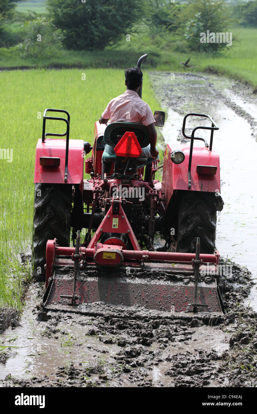 Rice field tractor Banque de photographies et d’images à haute ...