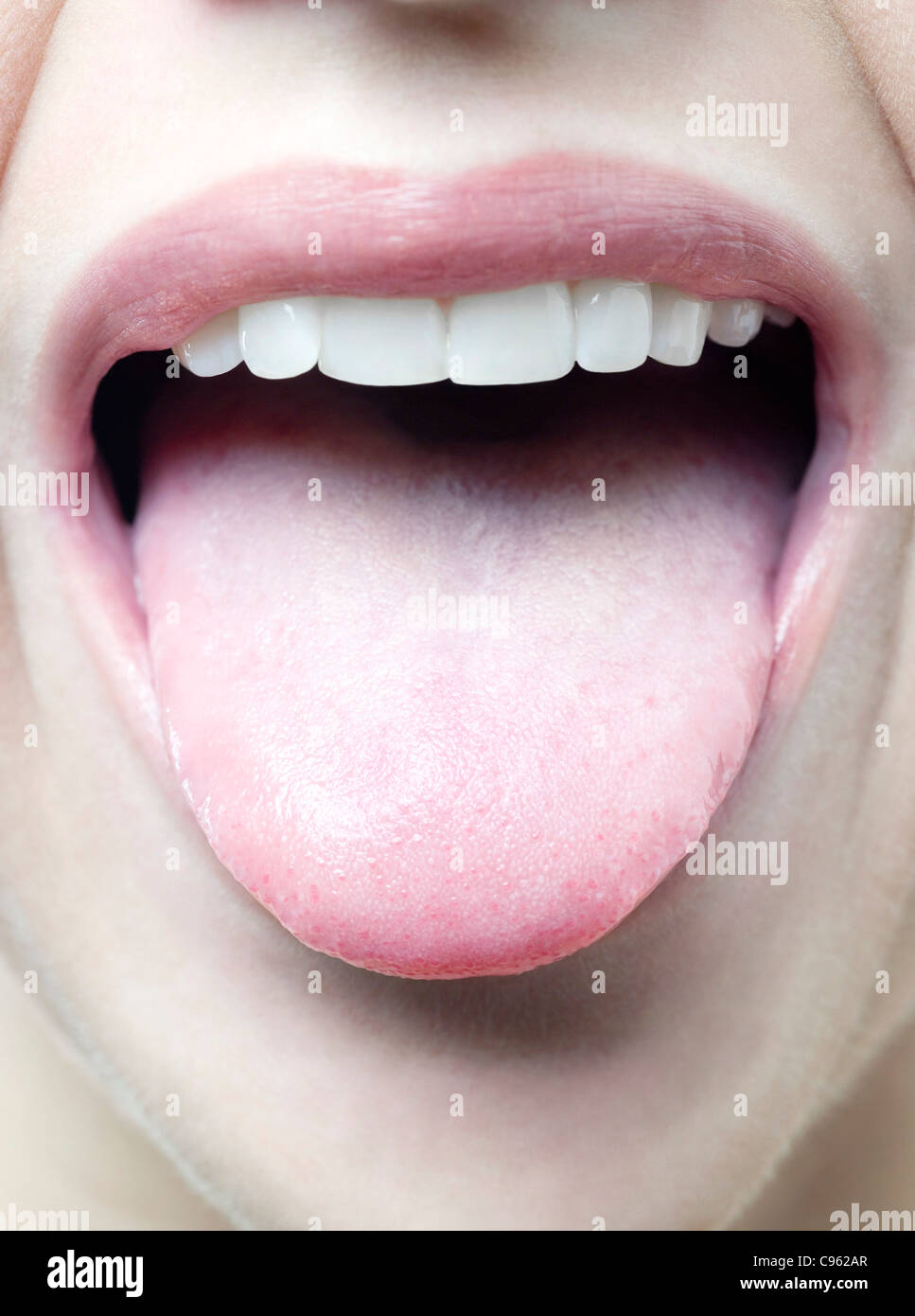 Anatomie de la langue humaine Banque de photographies et d’images à ...