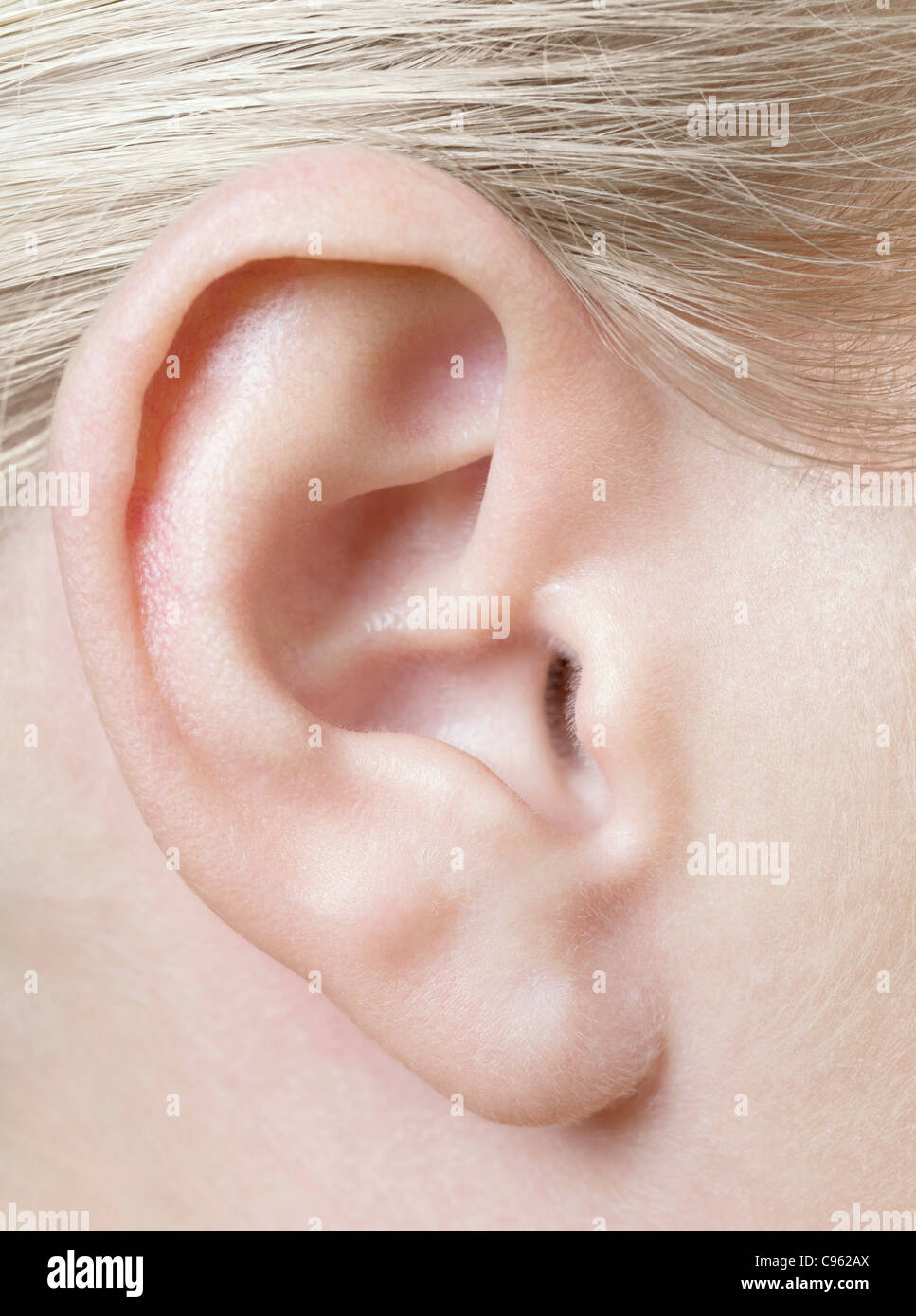 Une oreille Banque de photographies et d’images à haute résolution - Alamy