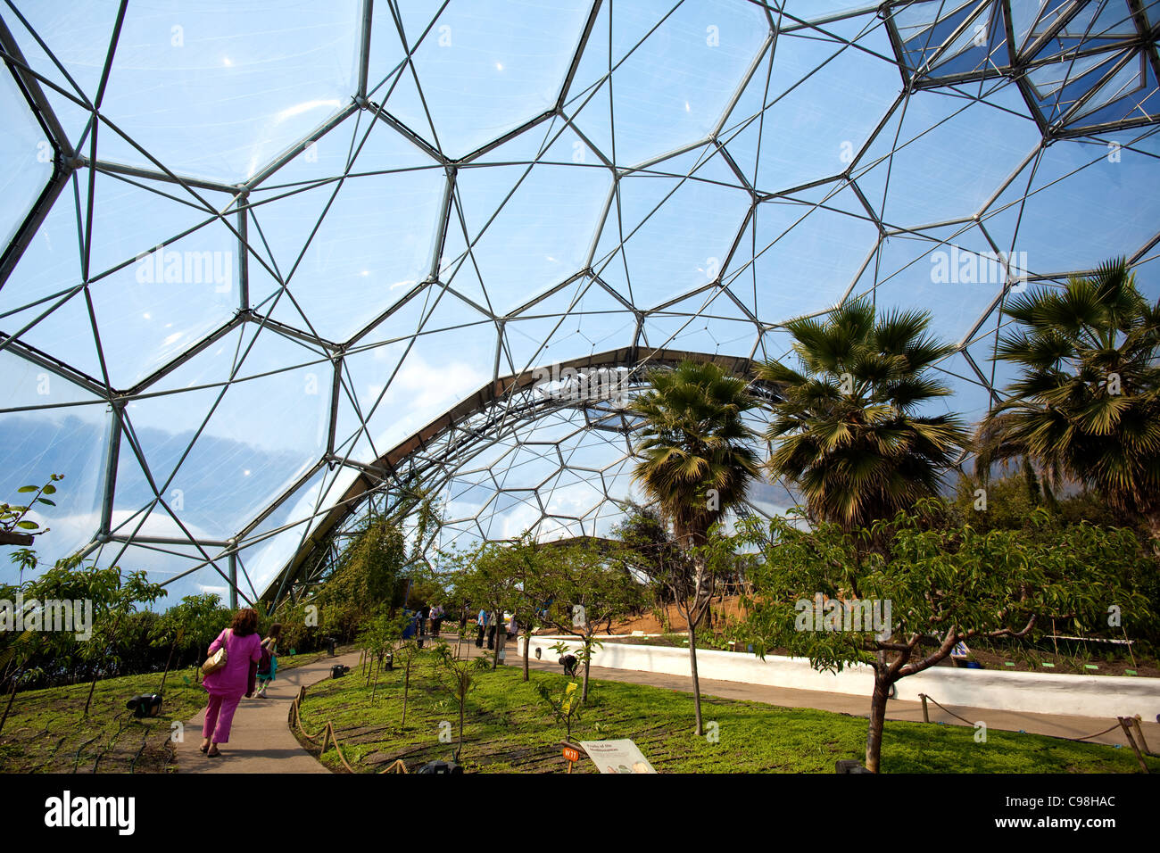 Les biomes au projet eden Banque de photographies et d’images à haute ...