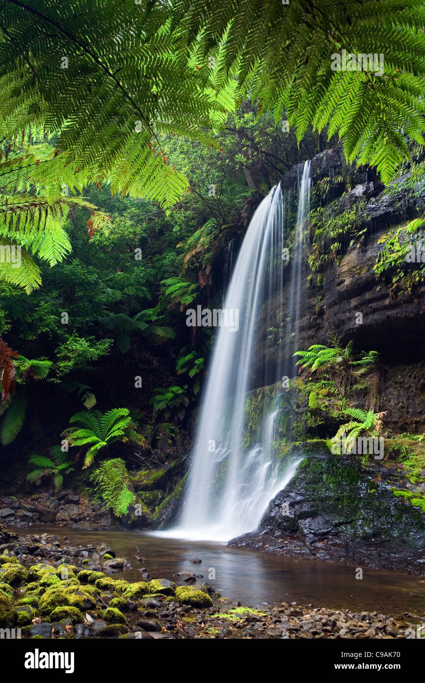 Mount field national park Banque de photographies et d’images à haute ...