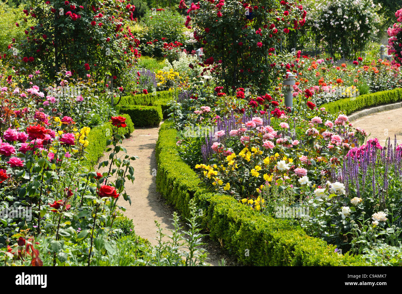 Jardin de roses Banque de photographies et d’images à haute résolution ...