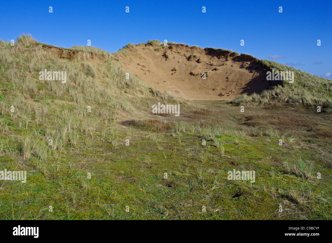 Dune stable Banque de photographies et d’images à haute résolution - Alamy