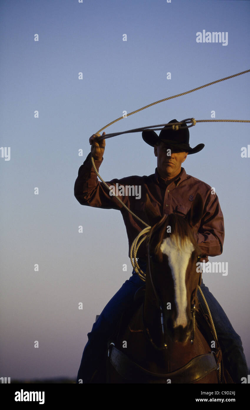 Cowboy riding a horse while lassoing Banque de photographies et d ...