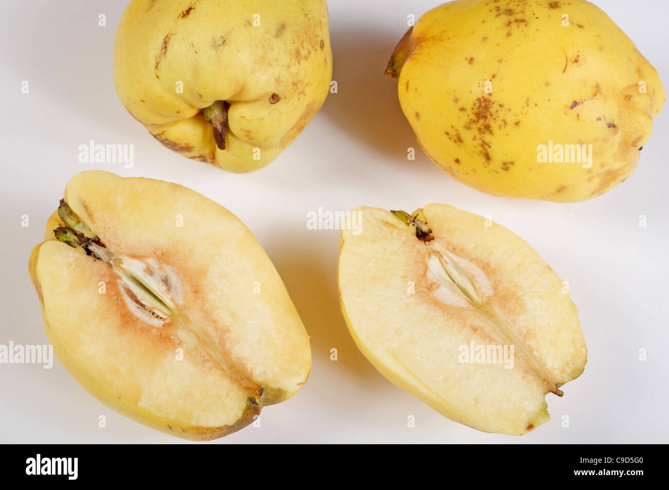 Fruit de coing Banque de photographies et d’images à haute résolution ...