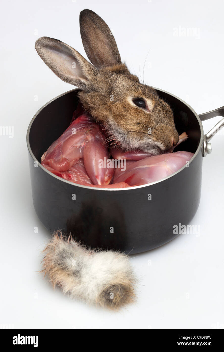 Skinned Rabbit - un exemple de la nourriture étrange ou bizarre mangée ...