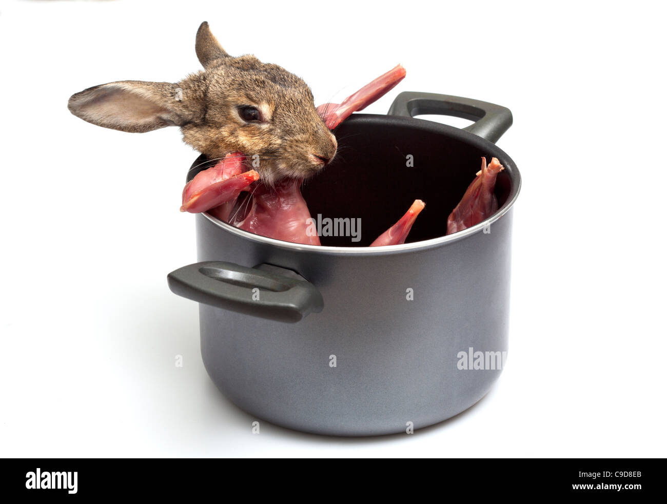 Skinned Rabbit assis dans Cooking Pot - un exemple de la nourriture ...