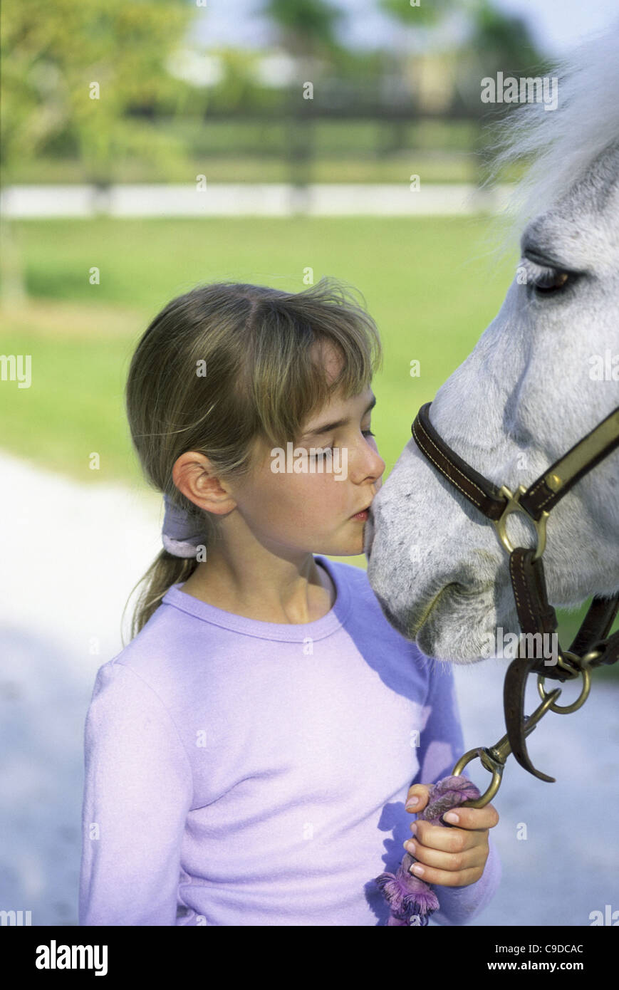 A girl kissing a horse Banque de photographies et d’images à haute ...