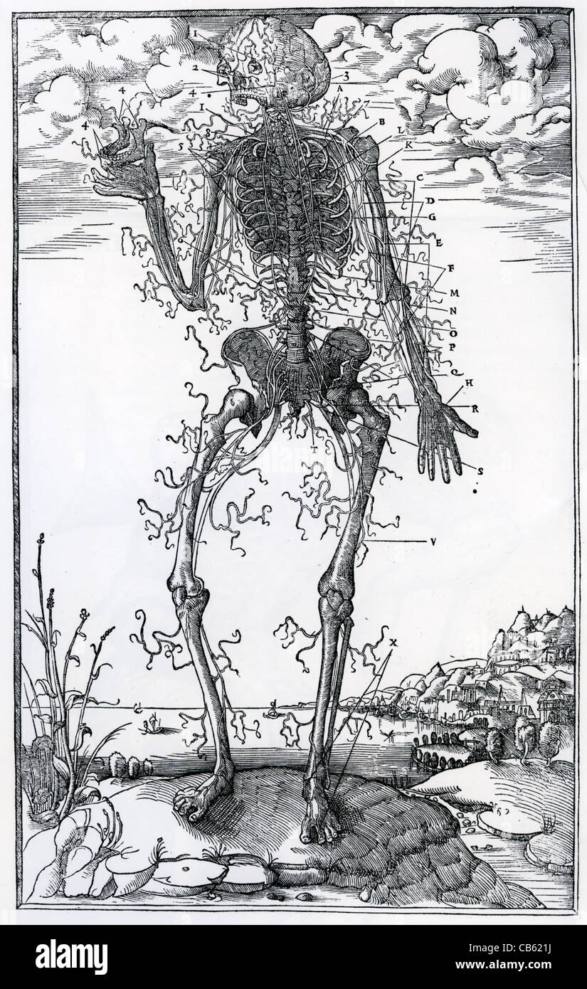 Anatomiste francais Banque de photographies et d’images à haute ...