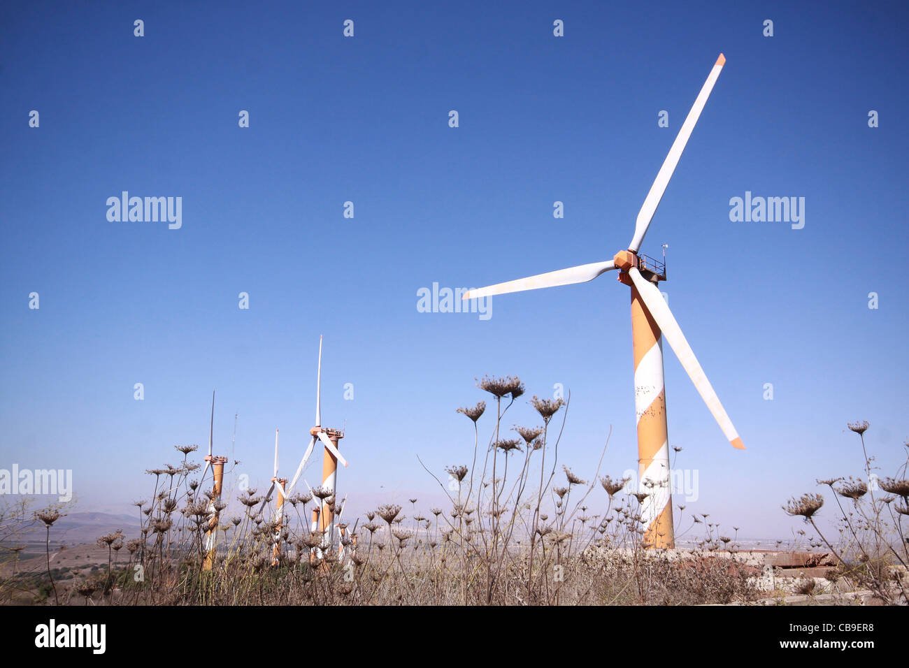 Ein zivan Banque de photographies et d’images à haute résolution - Alamy
