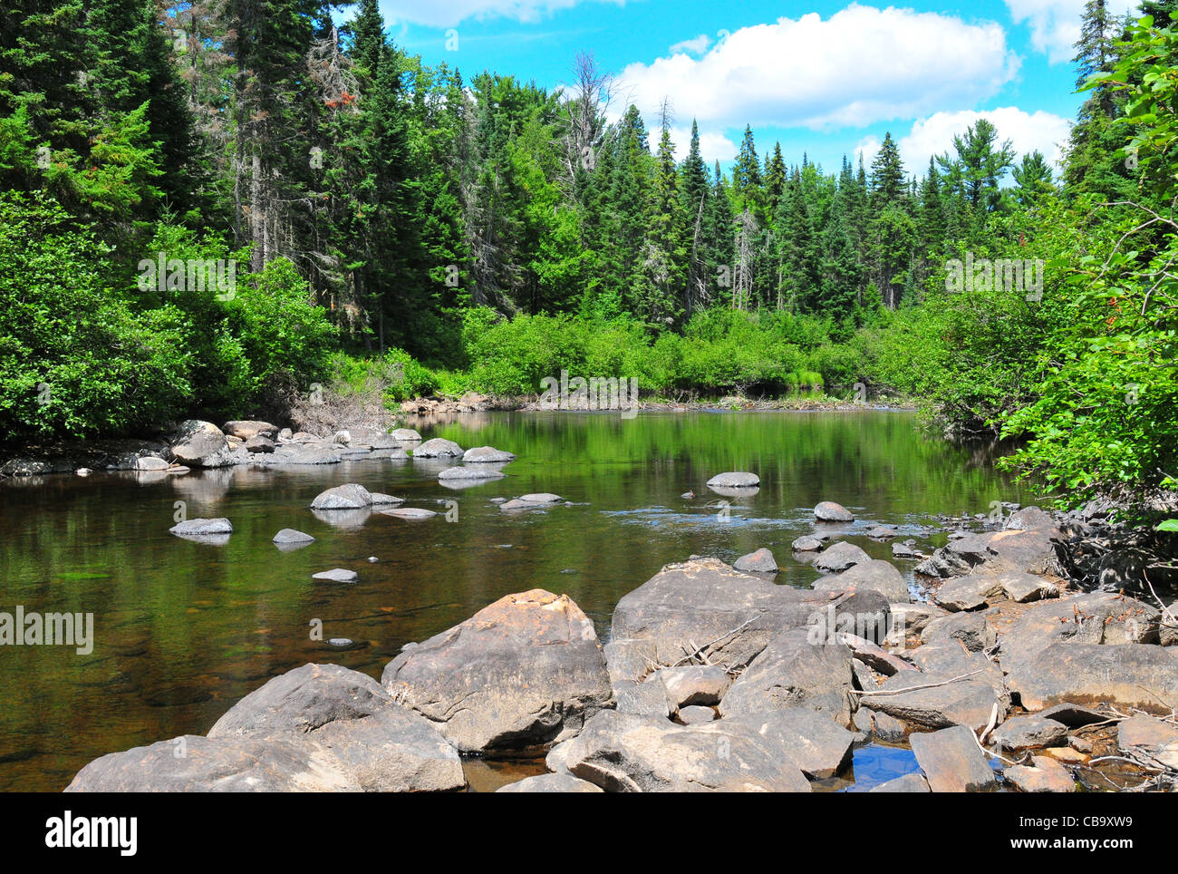Algonquin wilderness Banque de photographies et d’images à haute résolution - Alamy