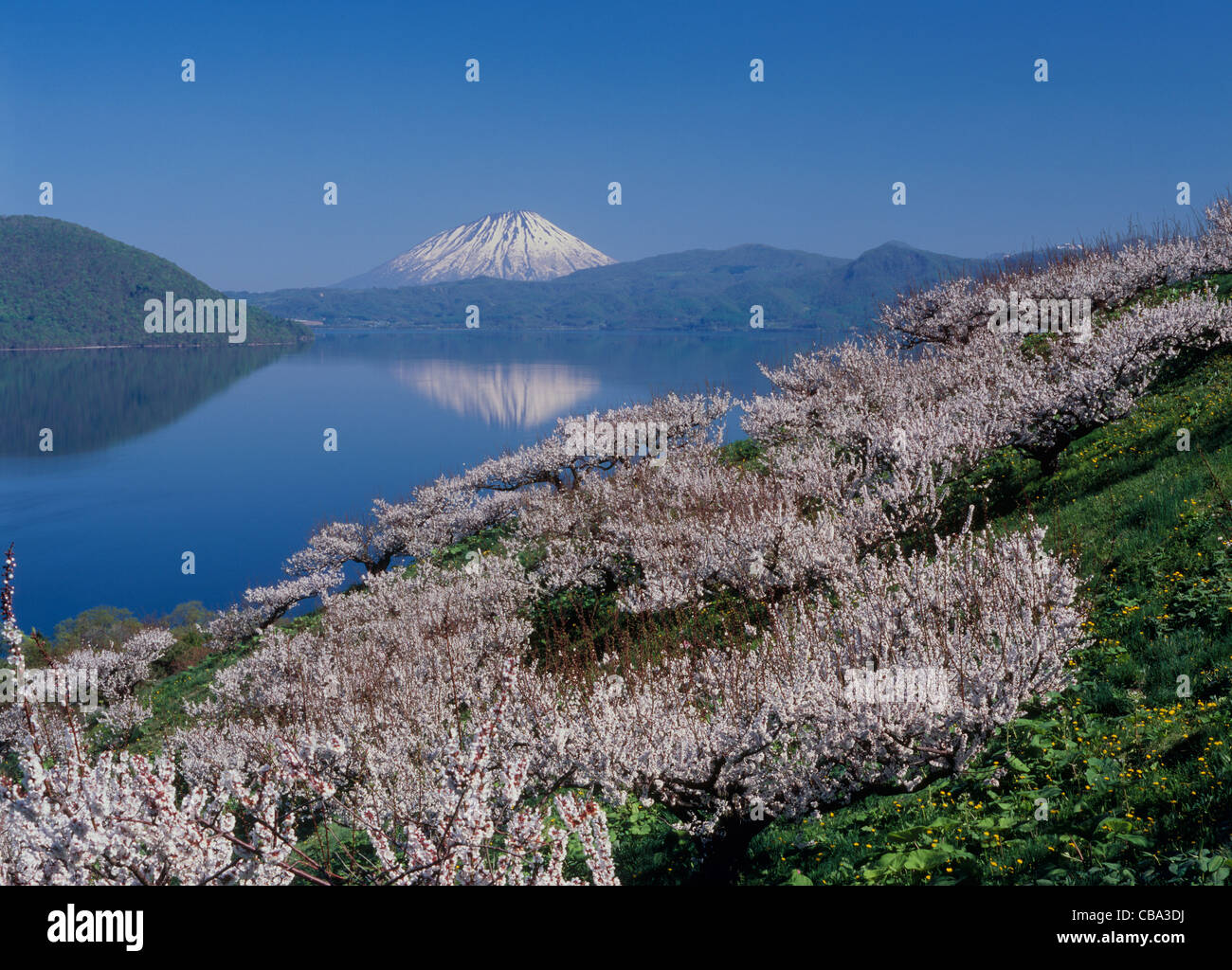 Japan hokkaido sobetsu lake toya Banque de photographies et d’images à ...