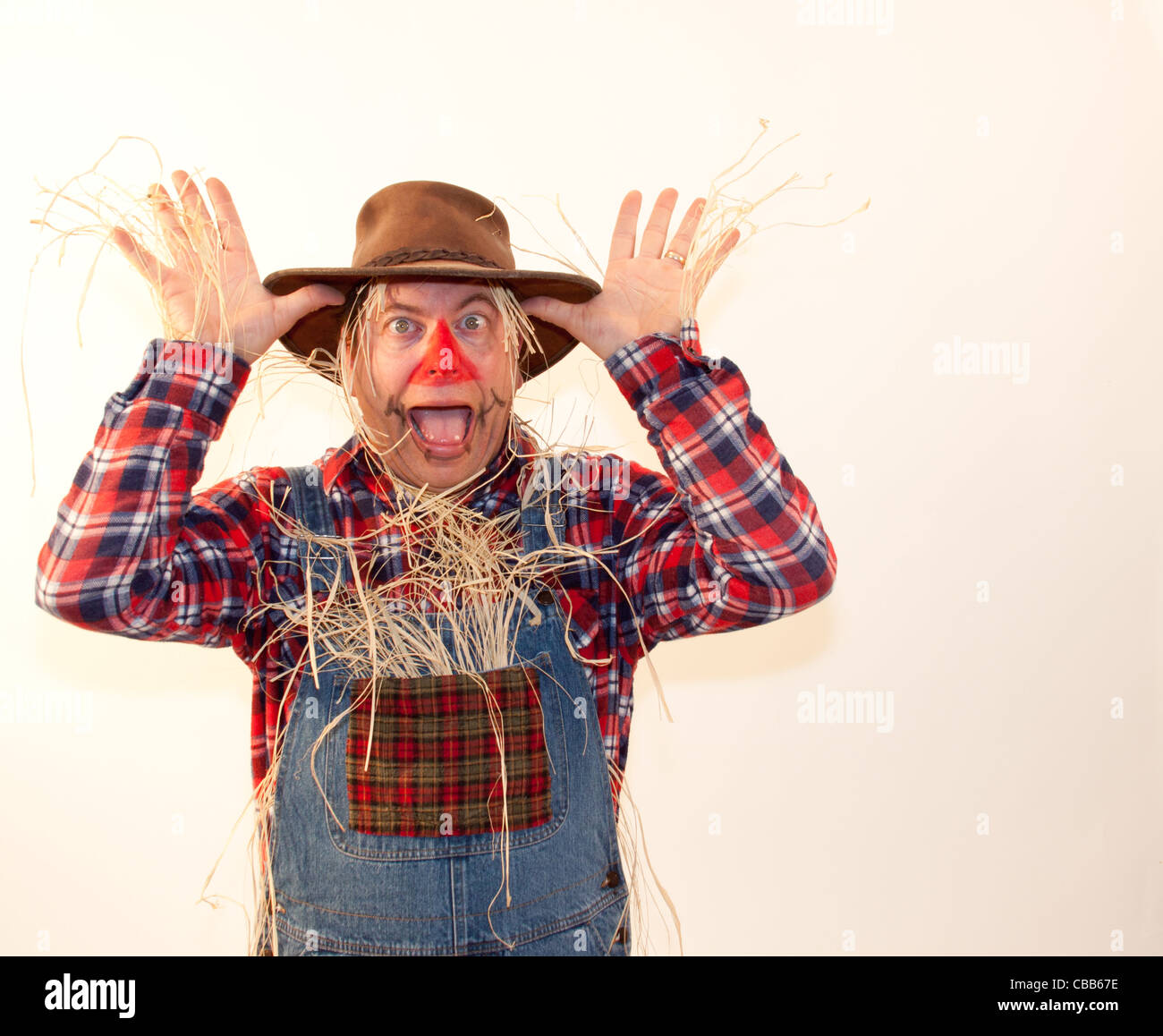 Effrayer les corbeaux Banque de photographies et d’images à haute ...