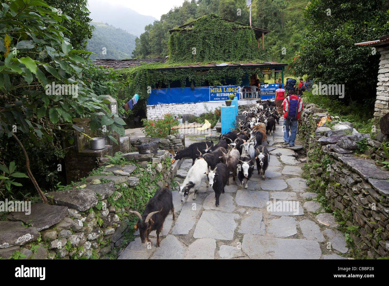 Village ulleri nepal Banque de photographies et d’images à haute ...