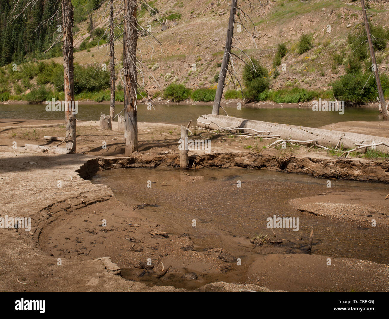 Rio grande national forest Banque de photographies et d’images à haute ...
