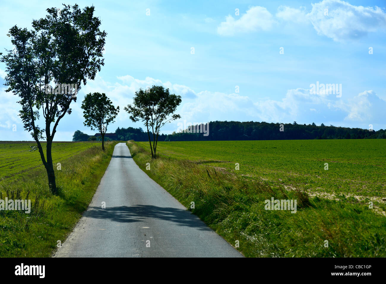 Transports routiers et autoroutes Banque de photographies et d’images à ...