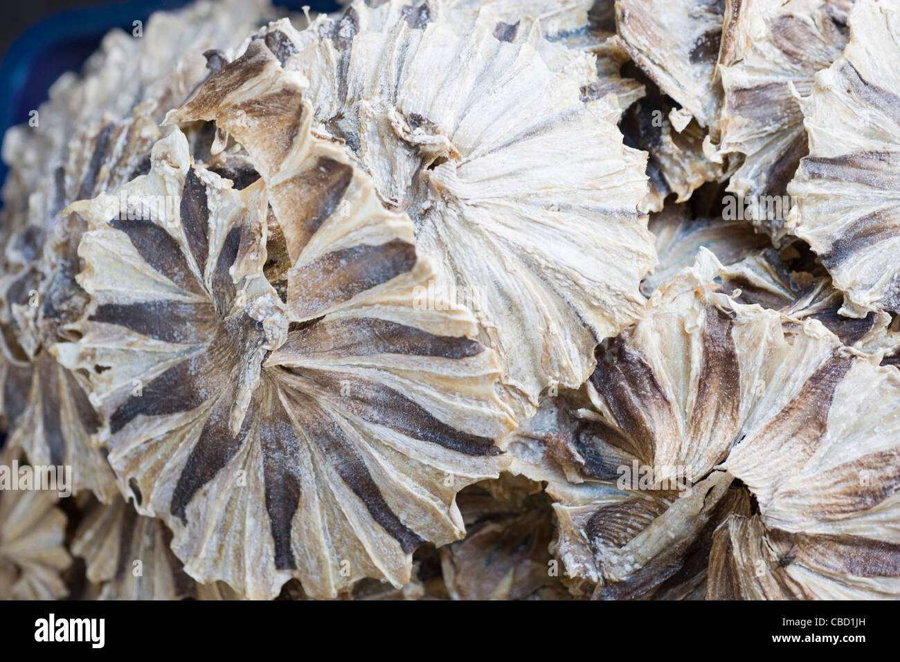 Dried food Banque de photographies et d’images à haute résolution - Alamy