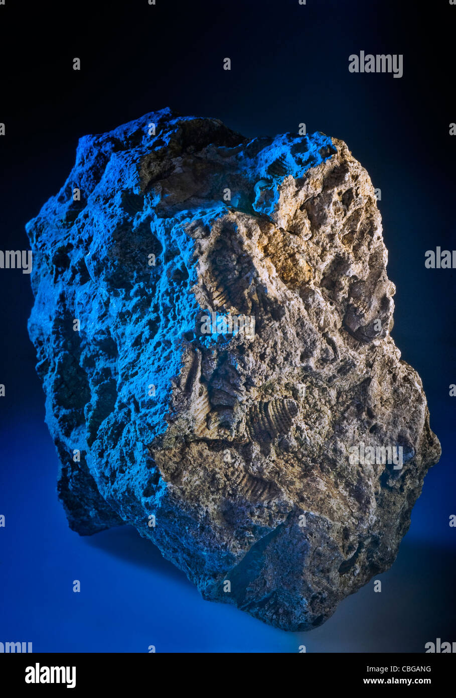 Gault clay Banque de photographies et d’images à haute résolution - Alamy